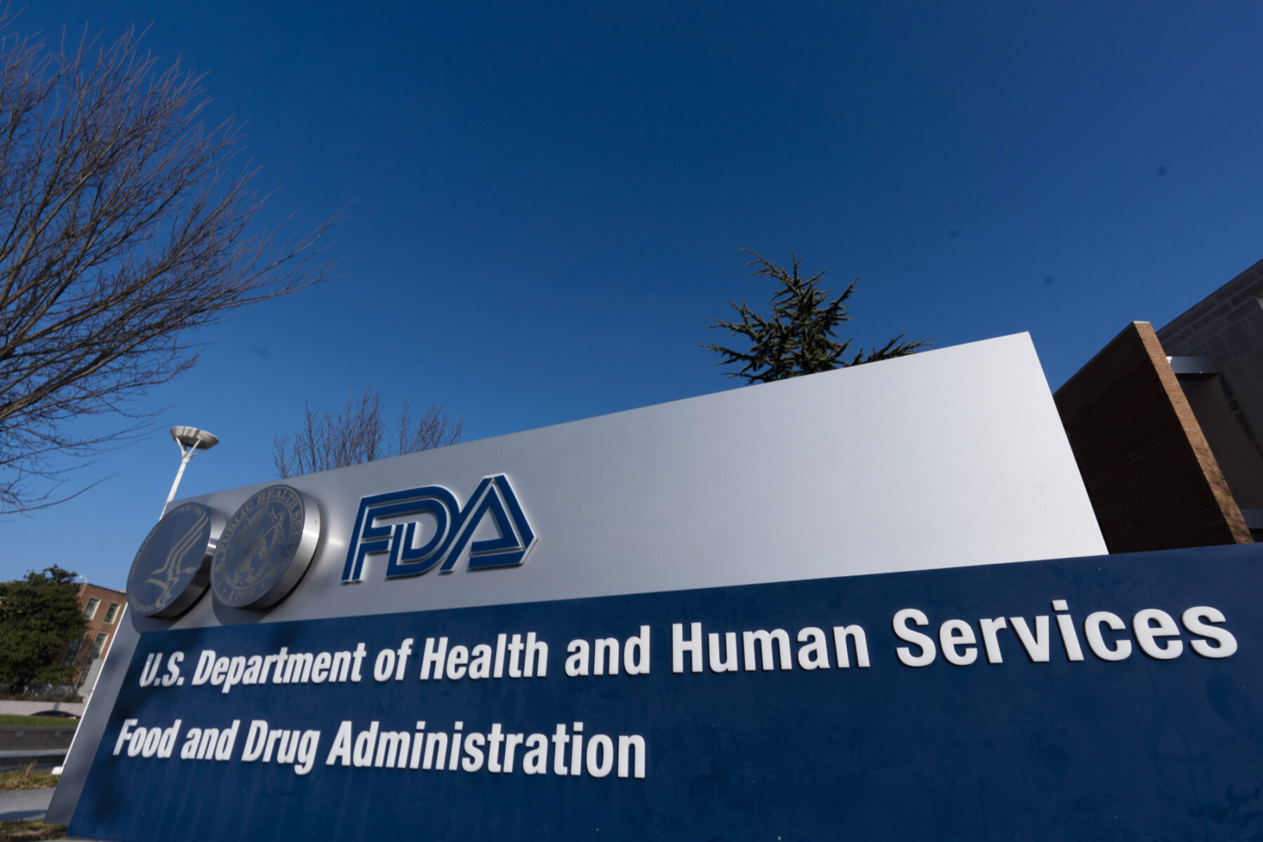 The FDA’s Balancing Act | Arnold Ventures